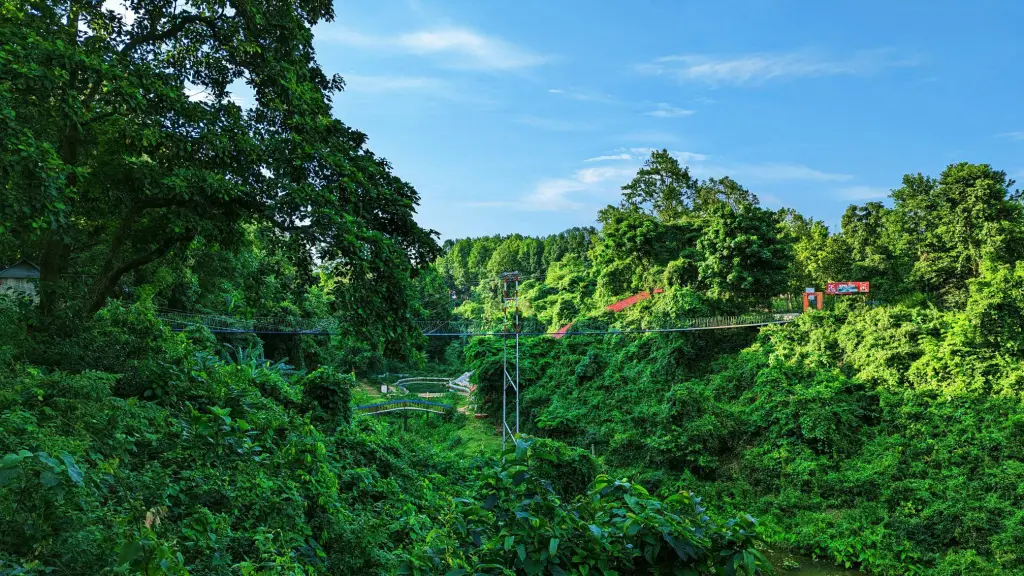 Gojni Obokash | A Hidden Gem in Sherpur’s Natural Wonderland - Emerald Wild